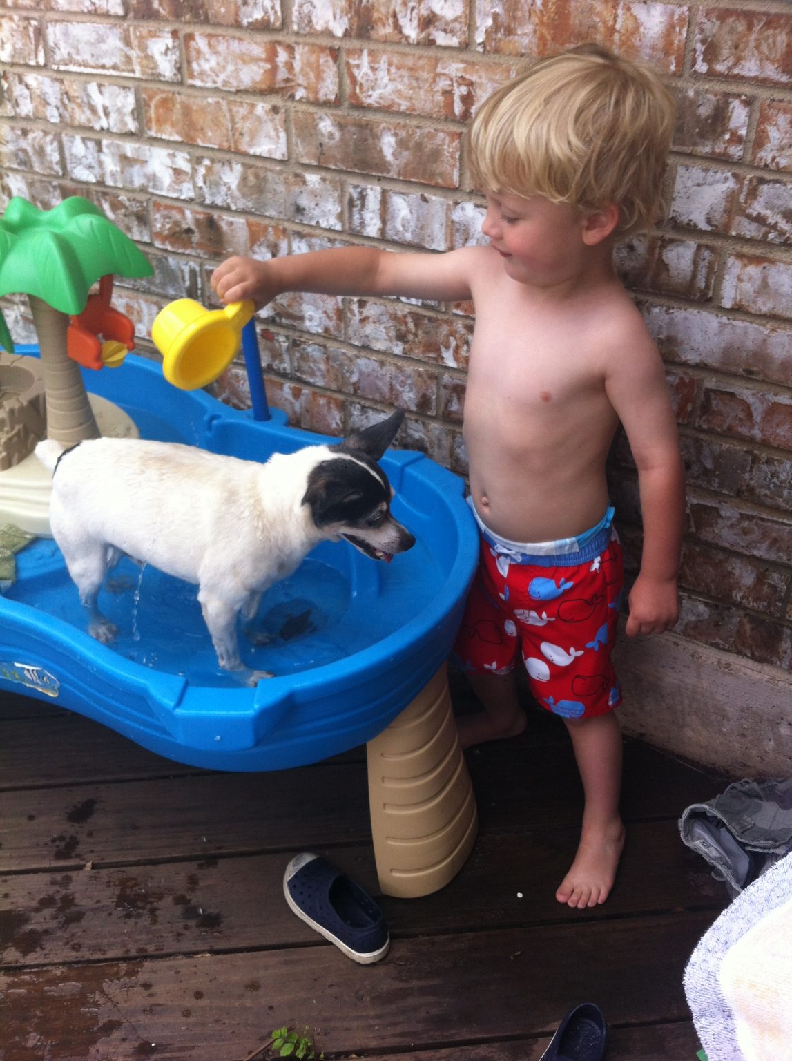 8 Reasons Your Kids Need a Daily Routine and a Template!