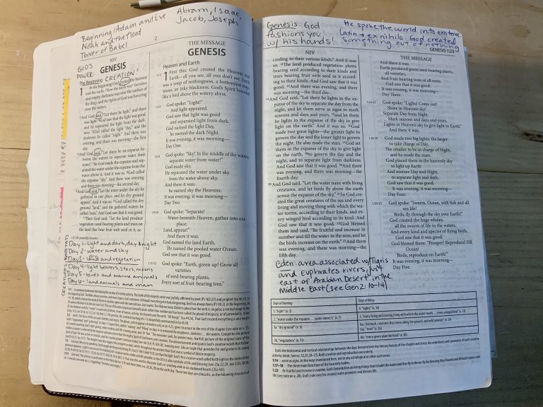 Now You Can Answer Genesis Bible Study Questions with this PDF