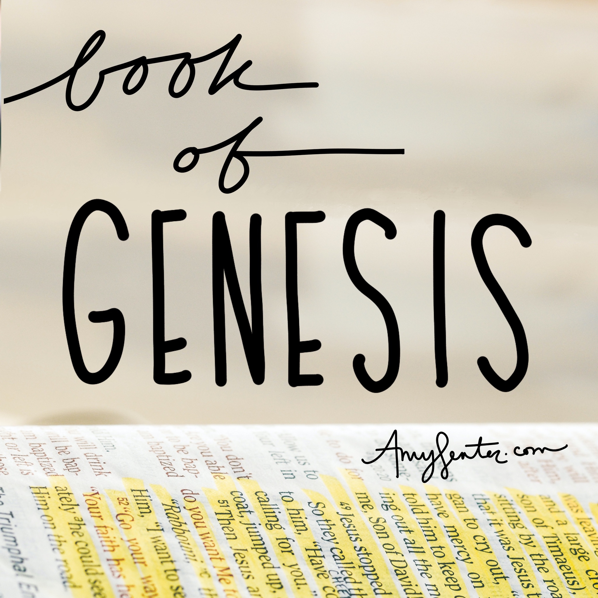 Understand the Book of Genesis in this Printable Bible Study