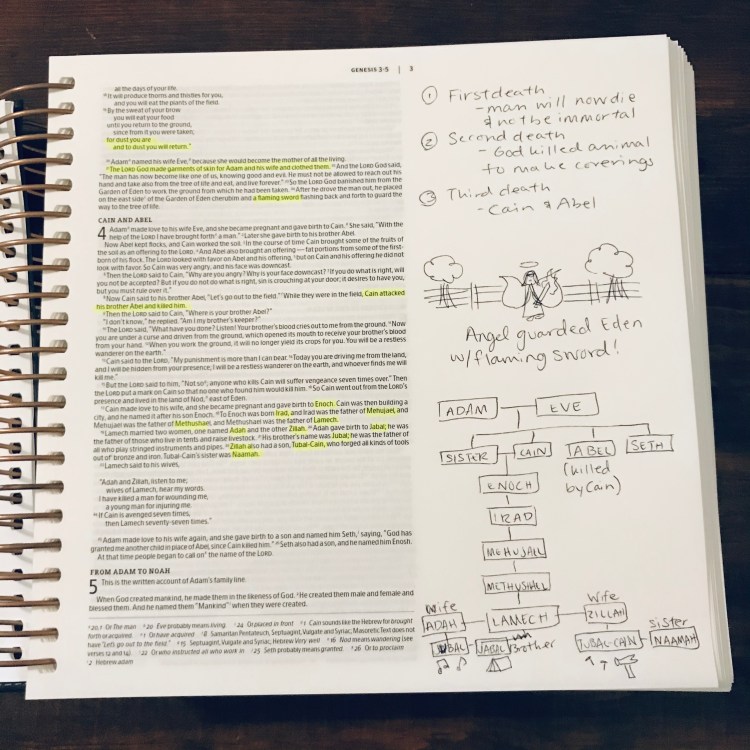 How to Start a Bible Study Journaling System for Beginners