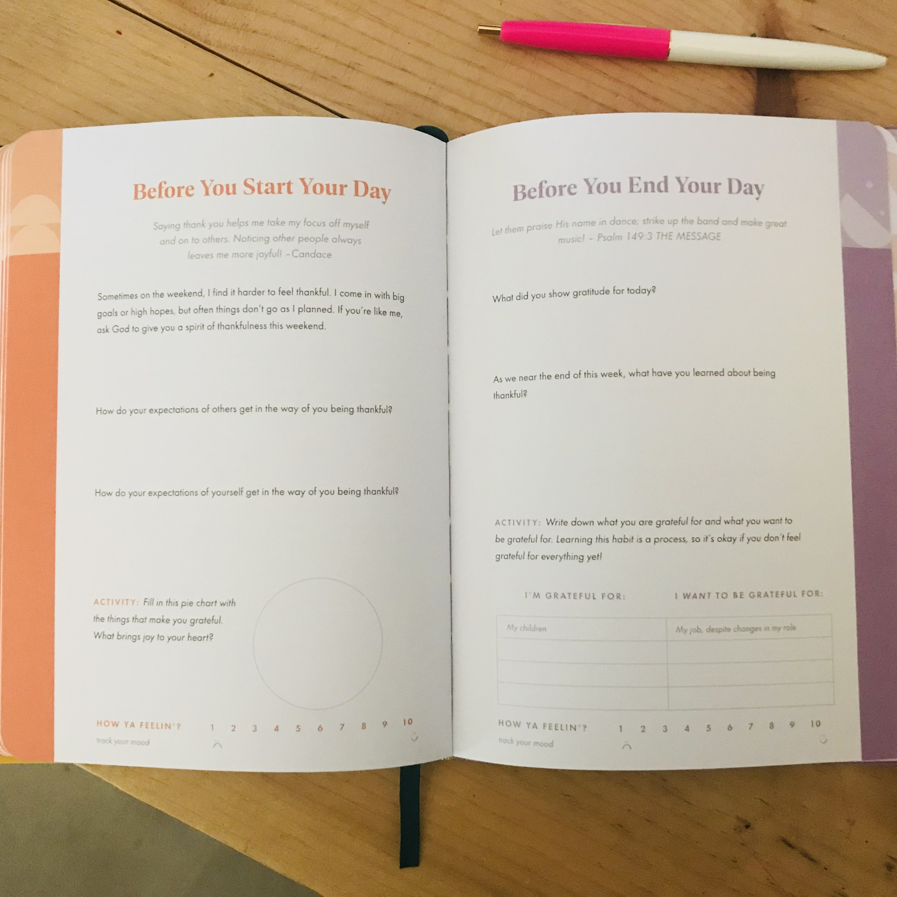 "Healthy in the Hustle": A Bible-Based Wellness Journal