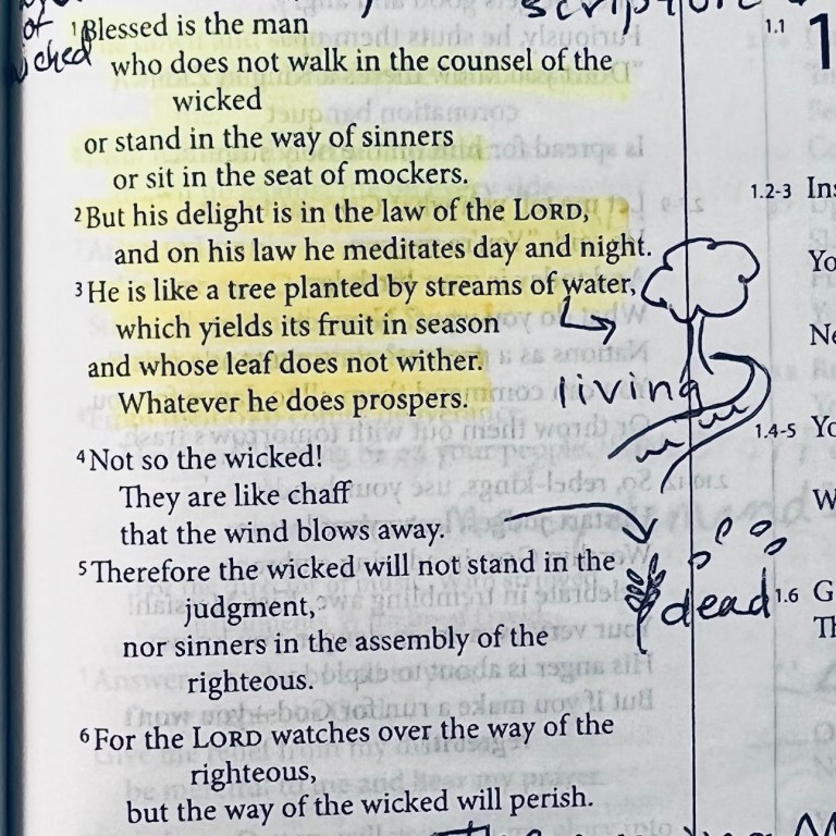 Easy Pictures to Draw in Your Bible To Help Visual Learners