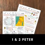 Hebrews - Revelation: Other Letters + Prophecy Bundle