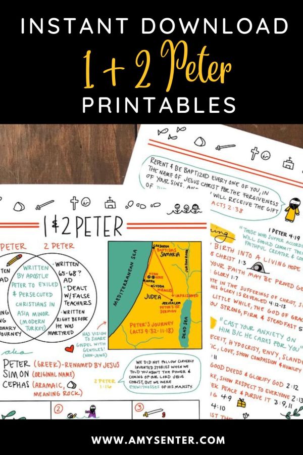 Who is Peter in the Bible? - AmySenter.com