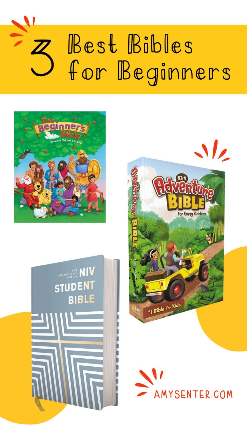 3 Best Bibles for Children and Beginners