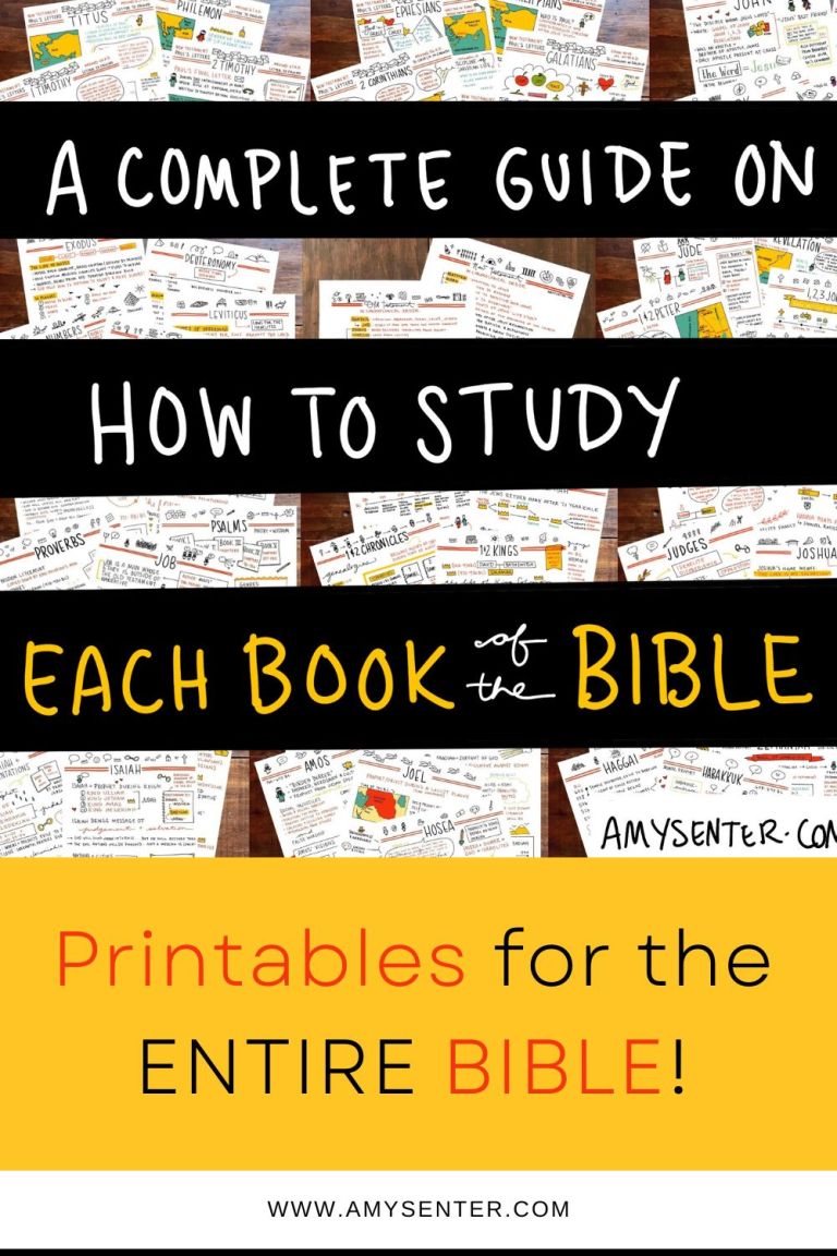 A Complete Beginner's Study Guide for the Entire Bible