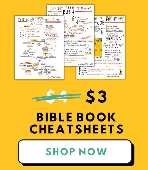 Shop - AmySenter.com | Biblical Literacy and Spiritual Growth